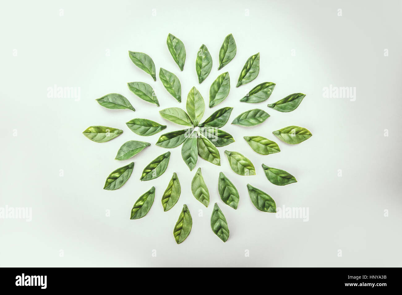 Green tea leaves Stock Photo - Alamy