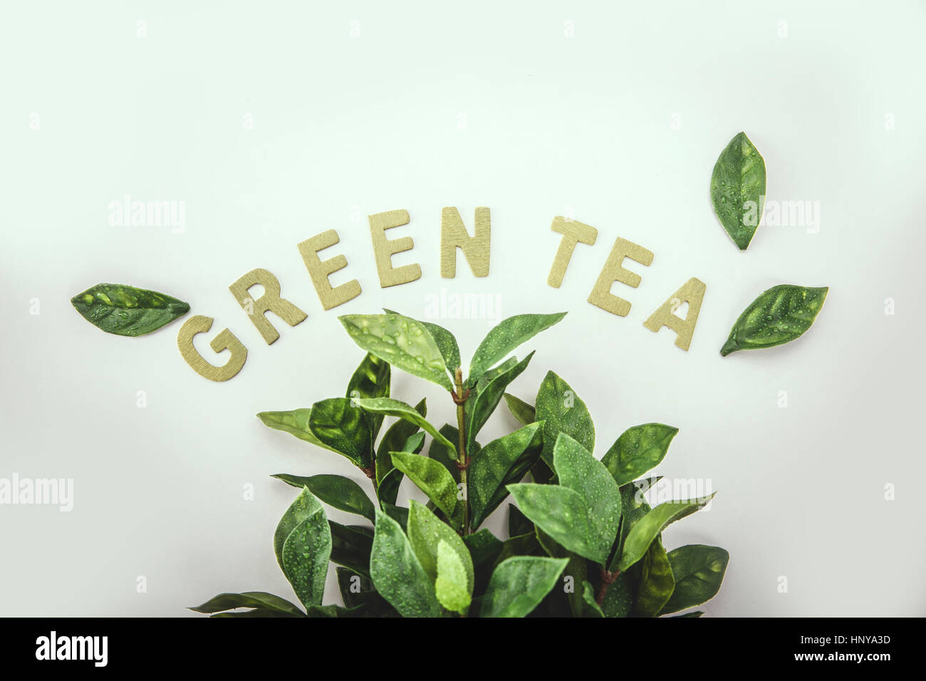 Green tea leaves green tea hi-res stock photography and images - Alamy