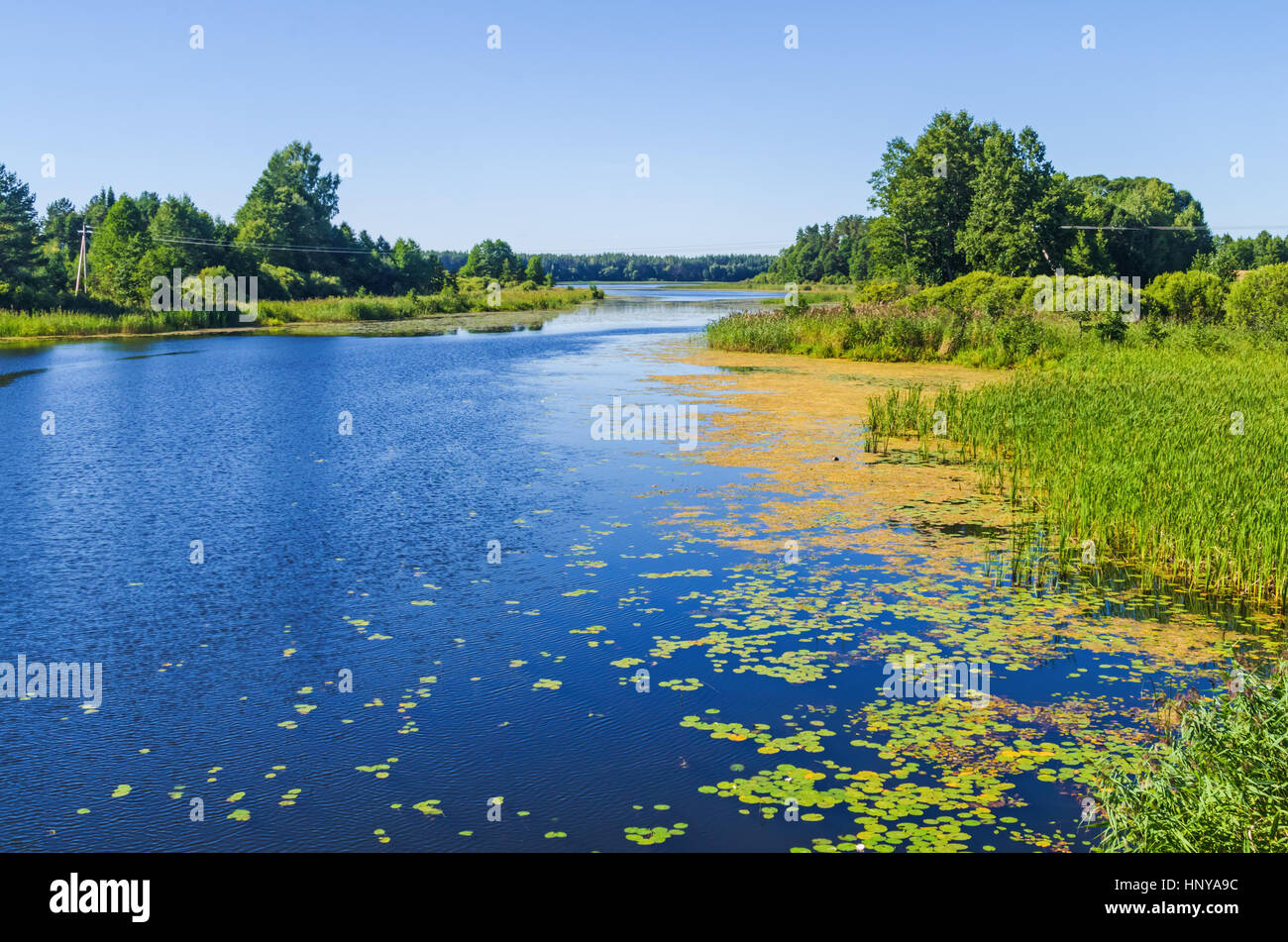 Summer river at noon Stock Photo - Alamy