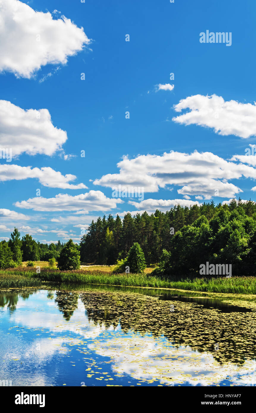 Summer river at noon Stock Photo - Alamy