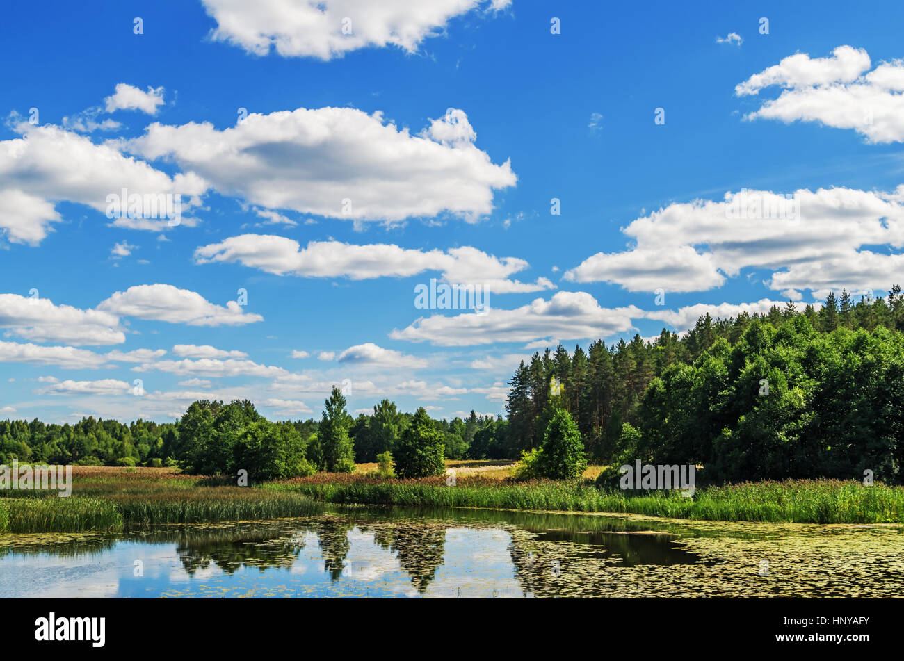 Summer river at noon Stock Photo - Alamy