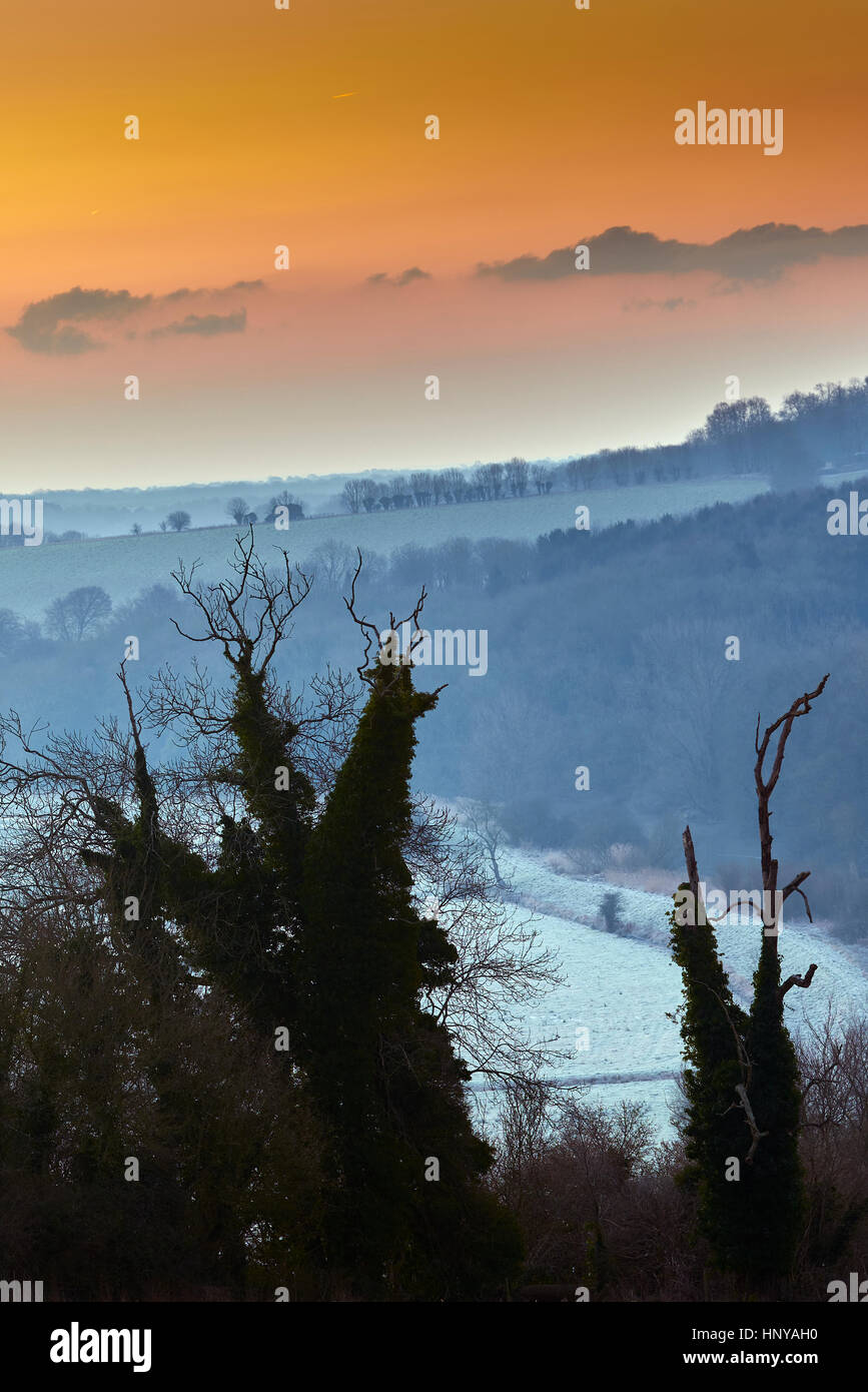 Sunset in countryside trees hi-res stock photography and images - Alamy