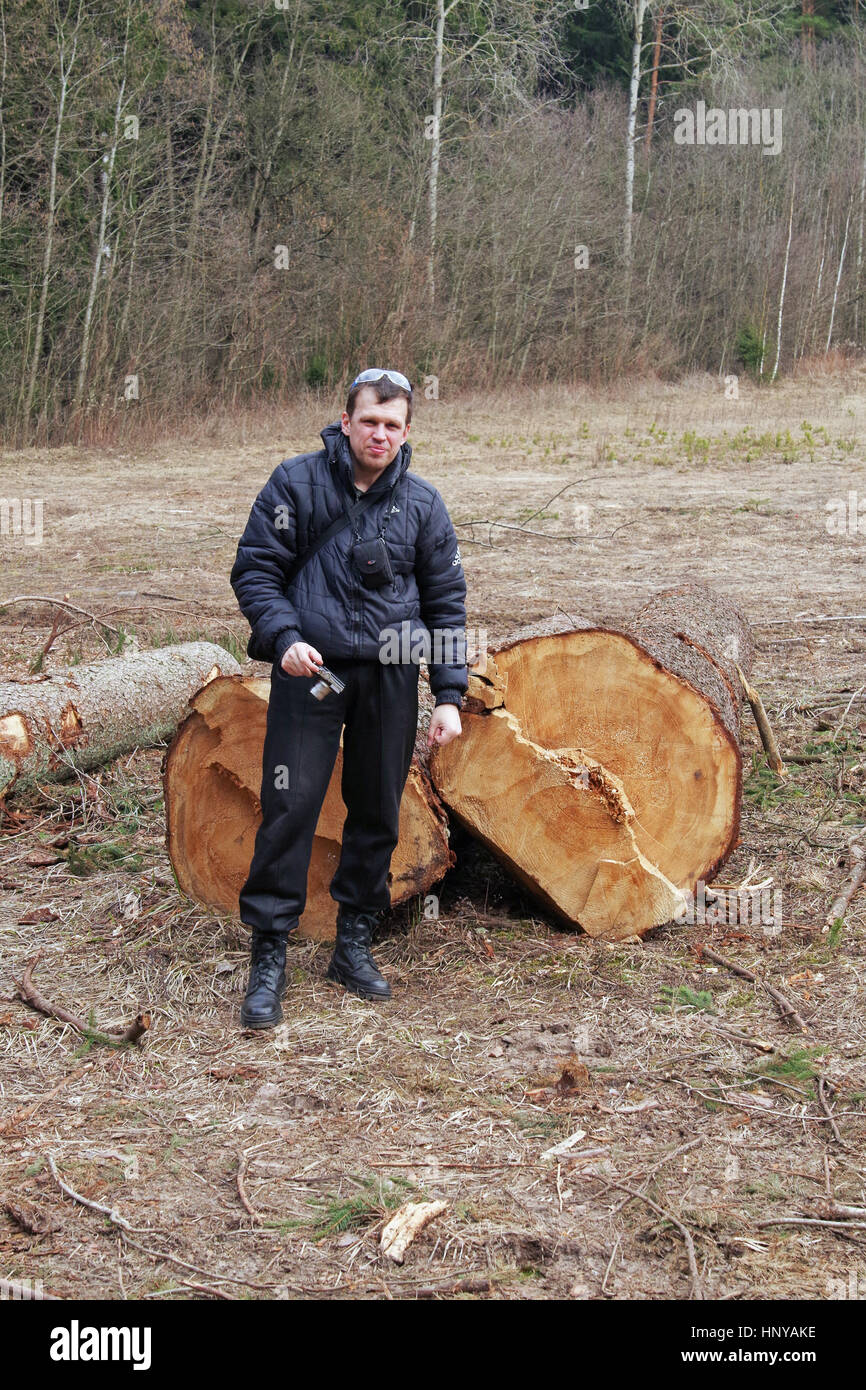 Deforestation under the power line and the lying logs.Man near woodpile ...