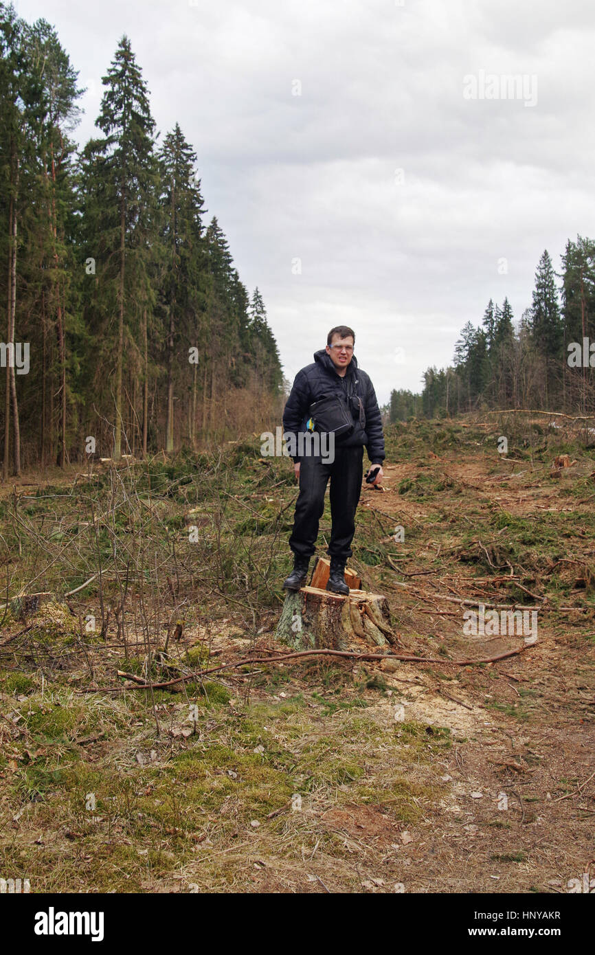 Deforestation under the power line and the lying logs.Man near wood ...