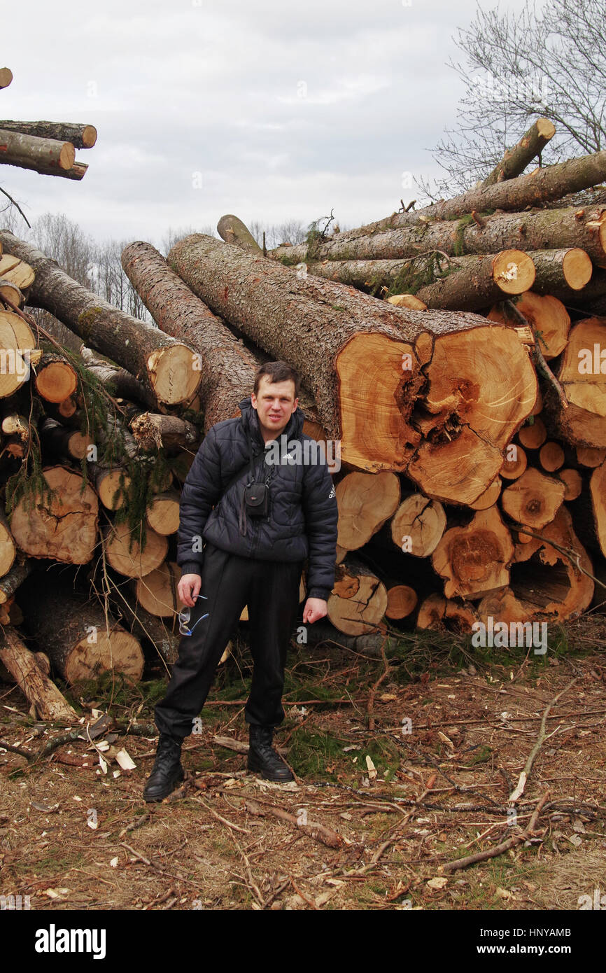 Deforestation under the power line and the lying logs.Man near woodpile ...