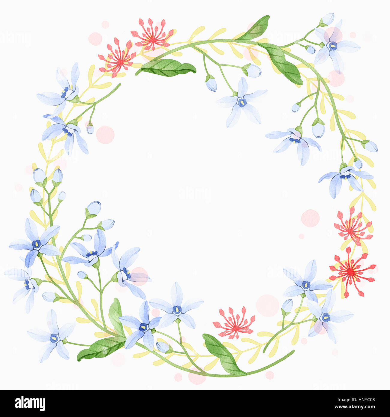 Frame made with plants and flowers Stock Photo - Alamy