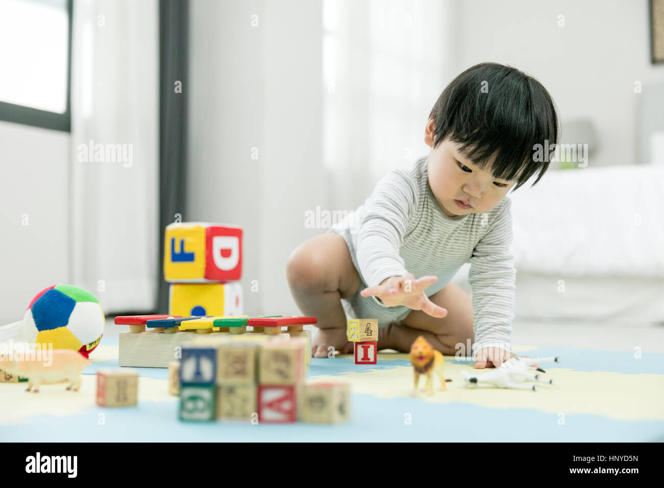 Person playing xylophone hi-res stock photography and images - Alamy