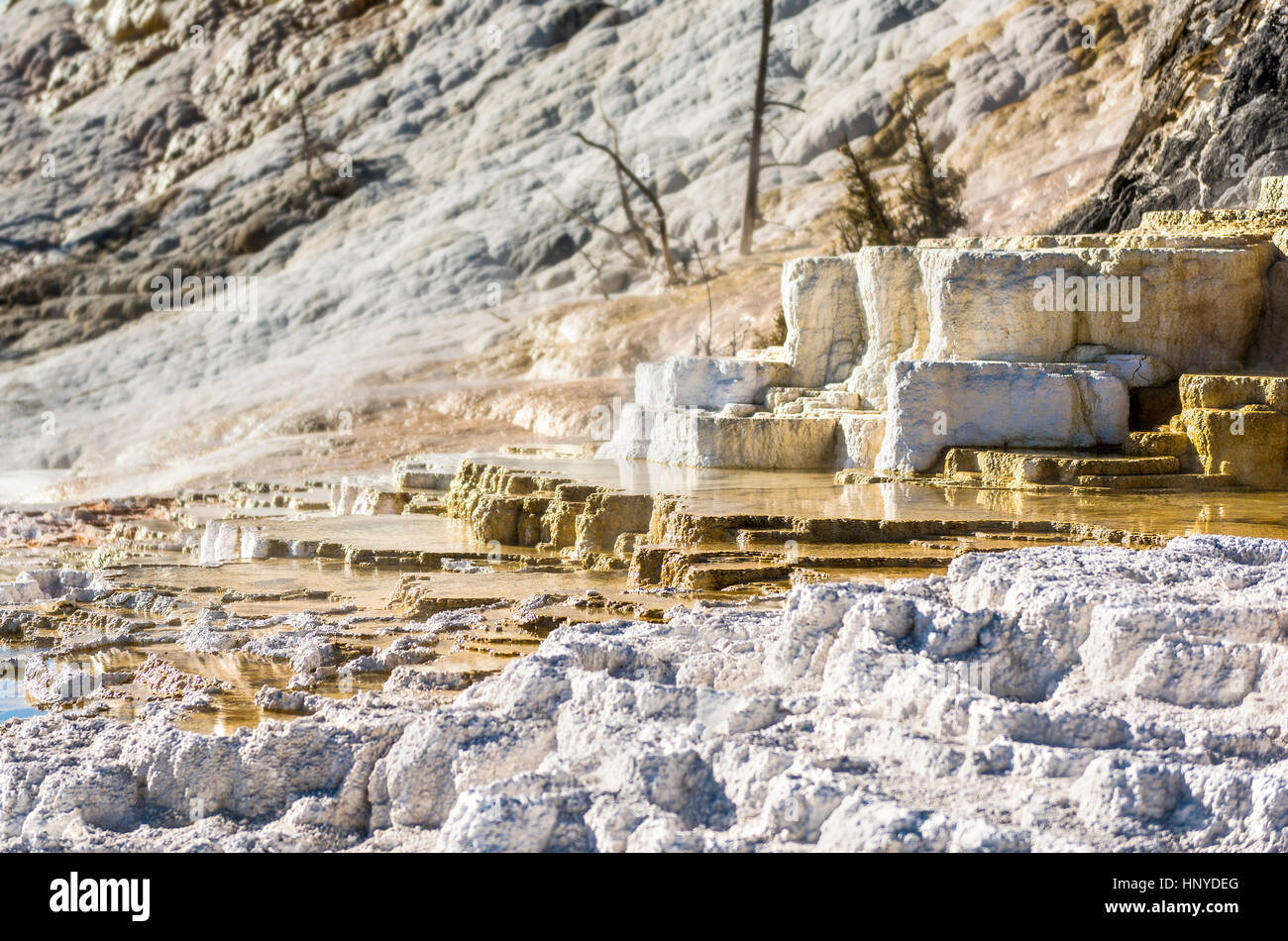 Mammoth hot springs travertine terraces in Yellowstone National Park ...