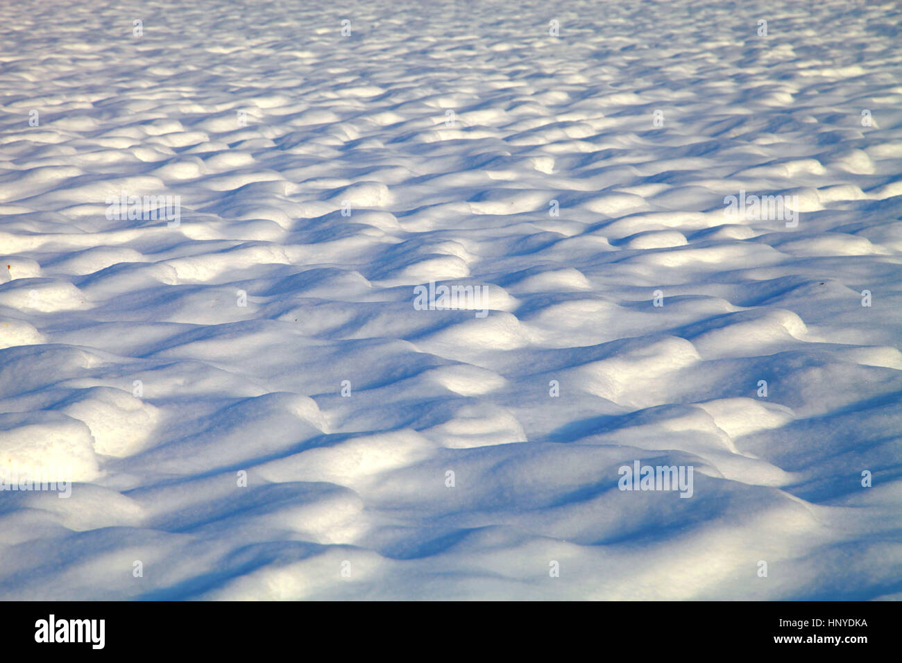 Fallen Snow Pattern at a Park in Hachioji city Western Tokyo Japan ...