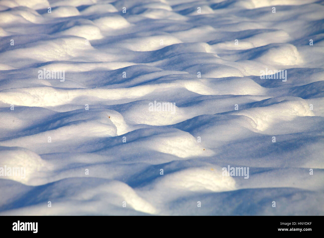 Fallen Snow Pattern at a Park in Hachioji city Western Tokyo Japan ...