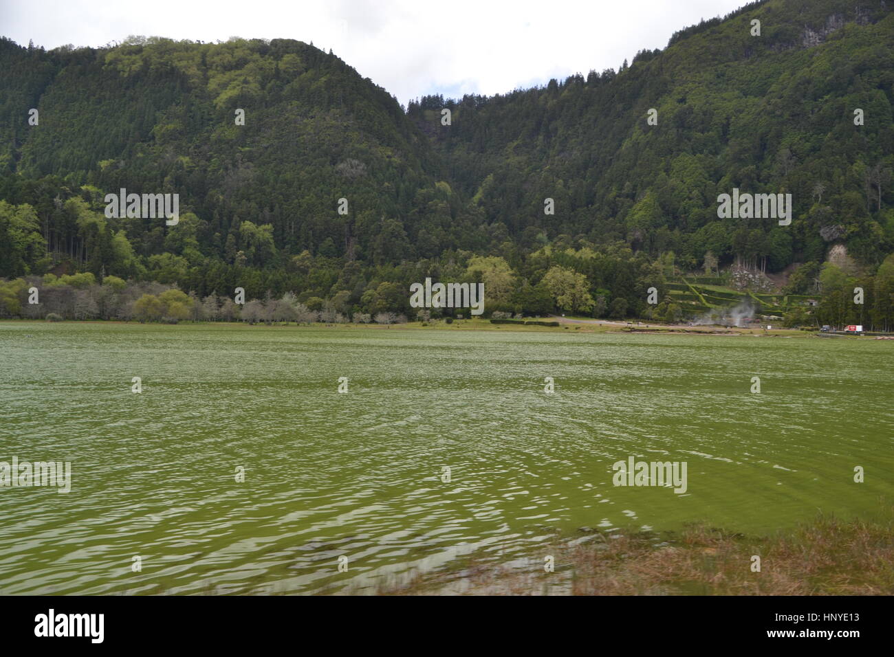 Furnas lake is very calm, light green colour in winter on Azores Sao ...