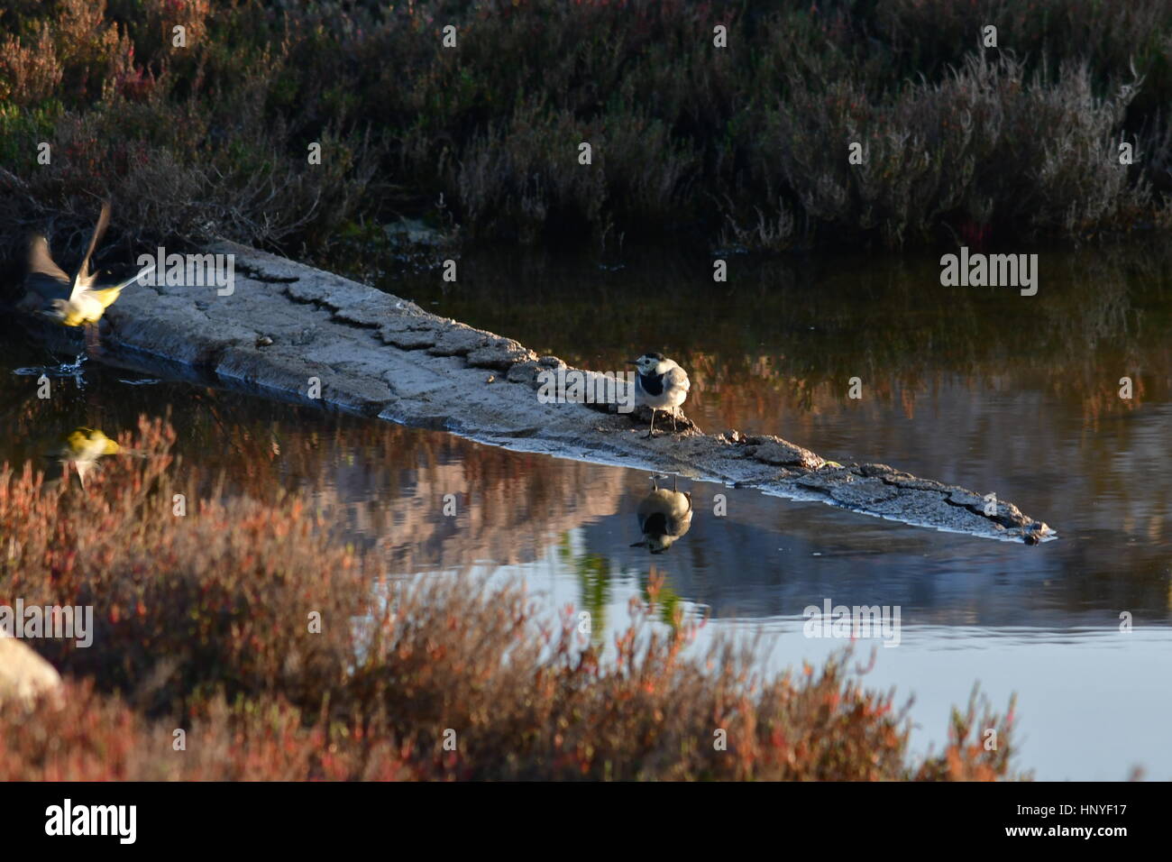 Nea kios hi-res stock photography and images - Alamy