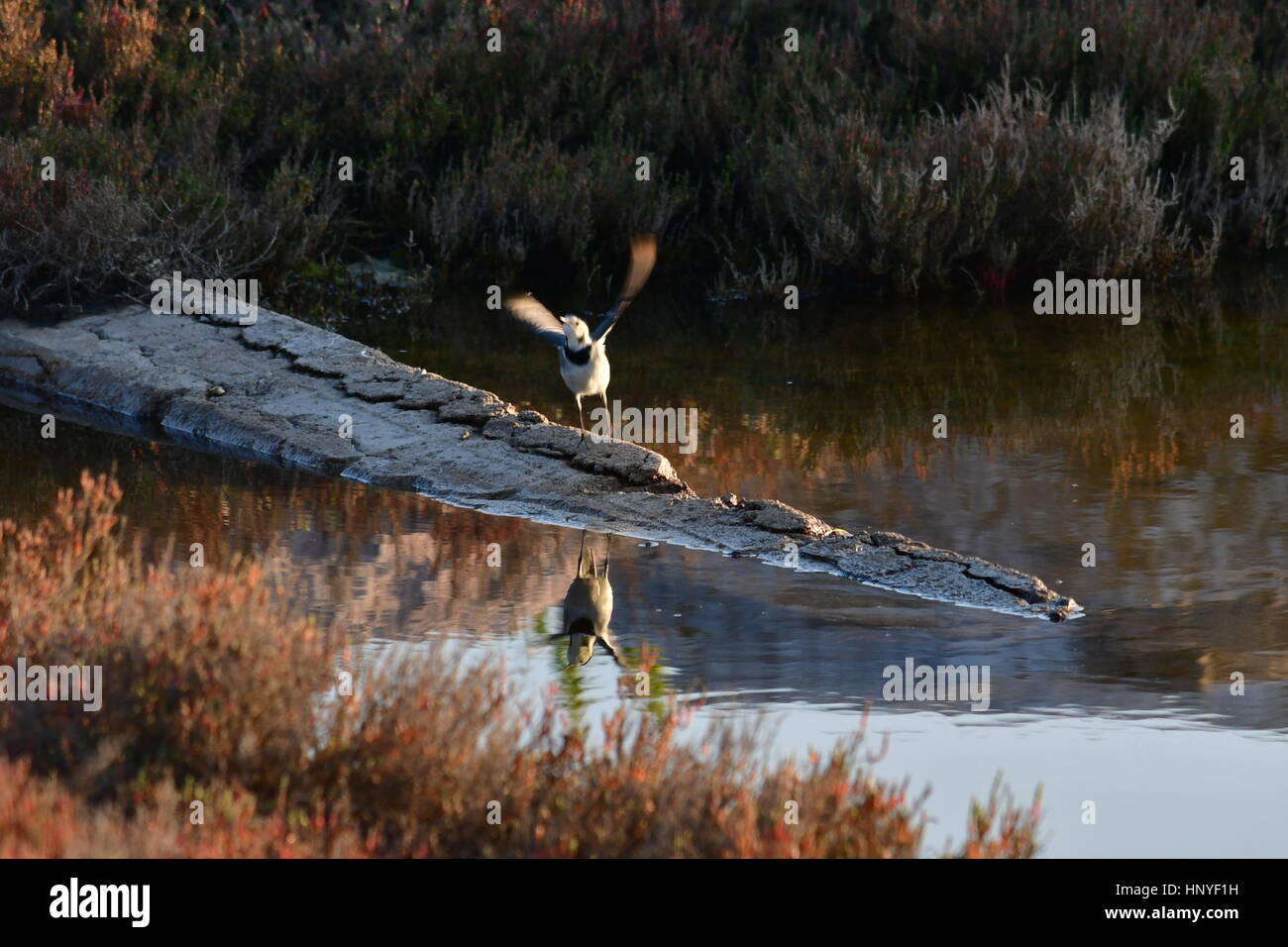 Nea kios hi-res stock photography and images - Alamy