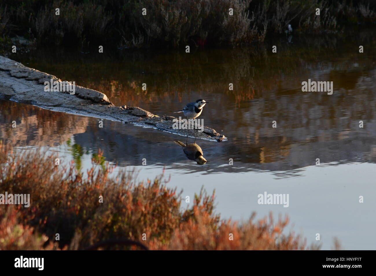 Nea kios hi-res stock photography and images - Alamy