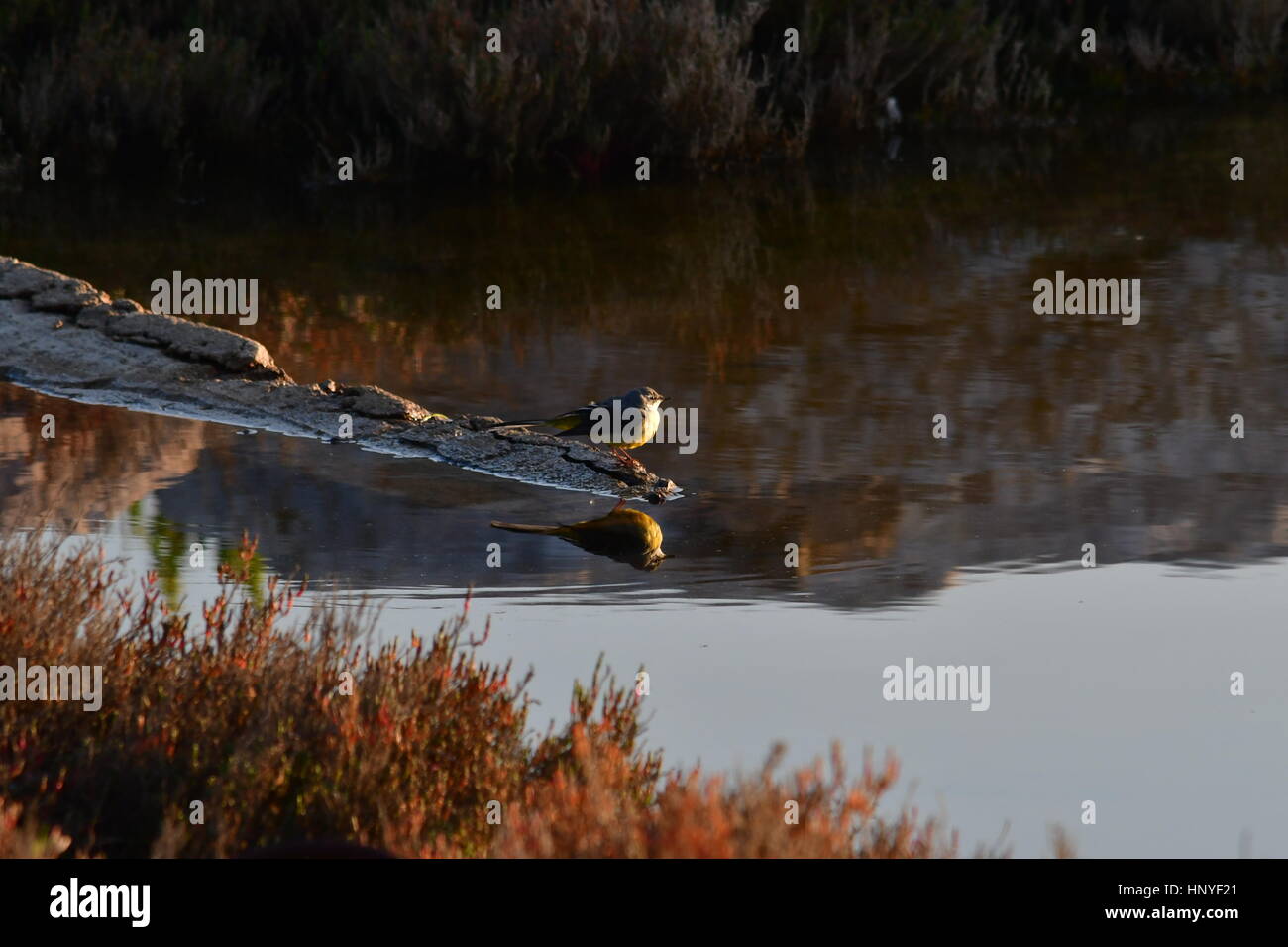 Nea kios hi-res stock photography and images - Alamy