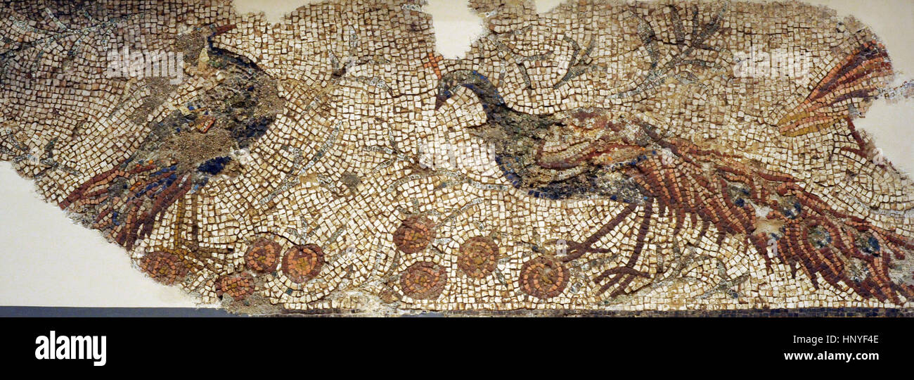 Peacock mosaics hi-res stock photography and images - Alamy