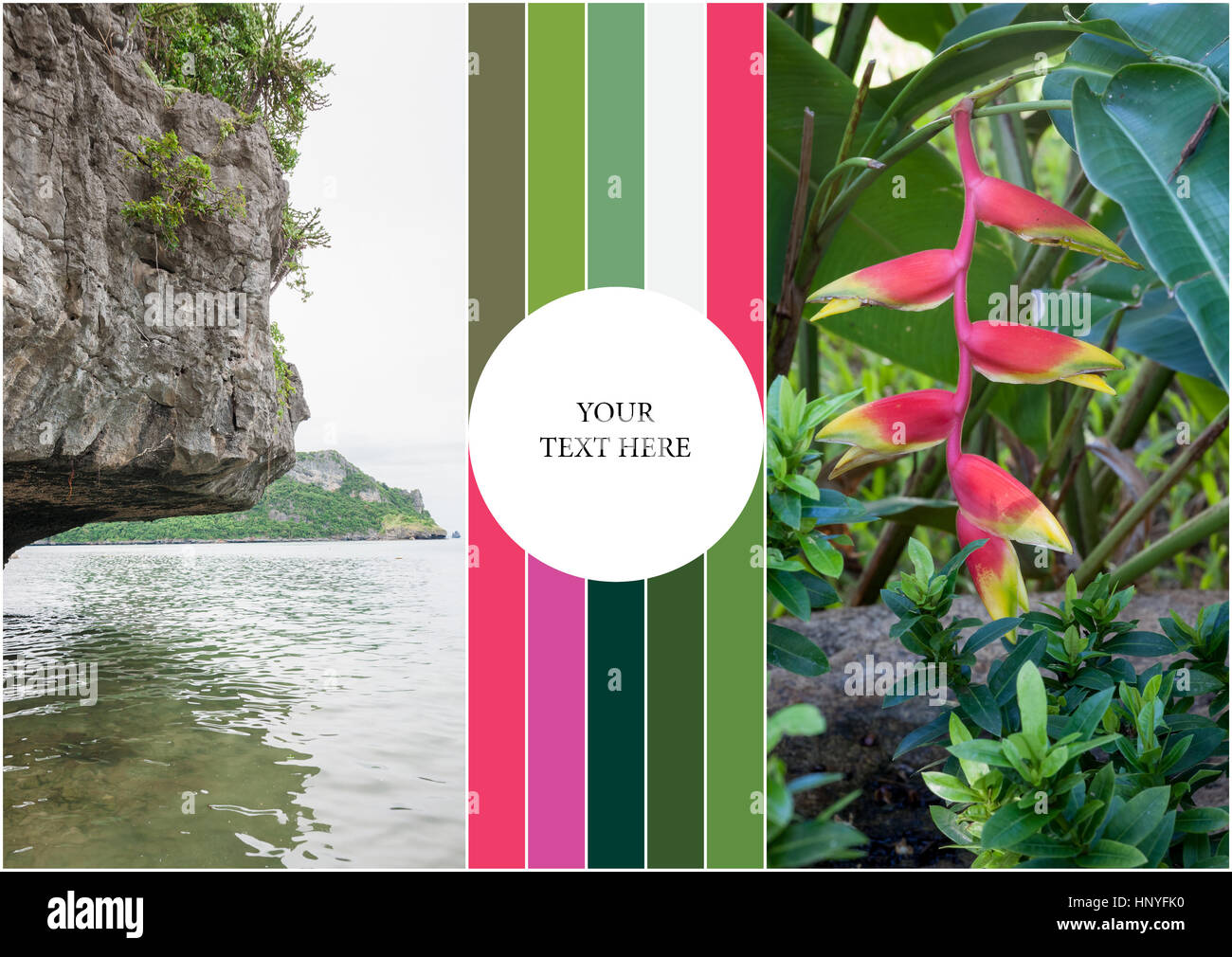 Beach on tropical island. Flowers. Collage Stock Photo - Alamy