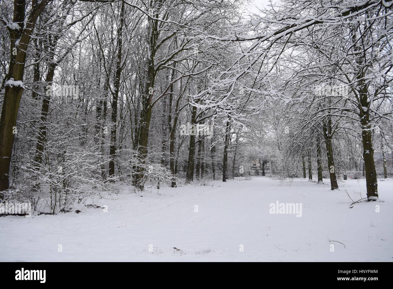 Snow views hi-res stock photography and images - Alamy