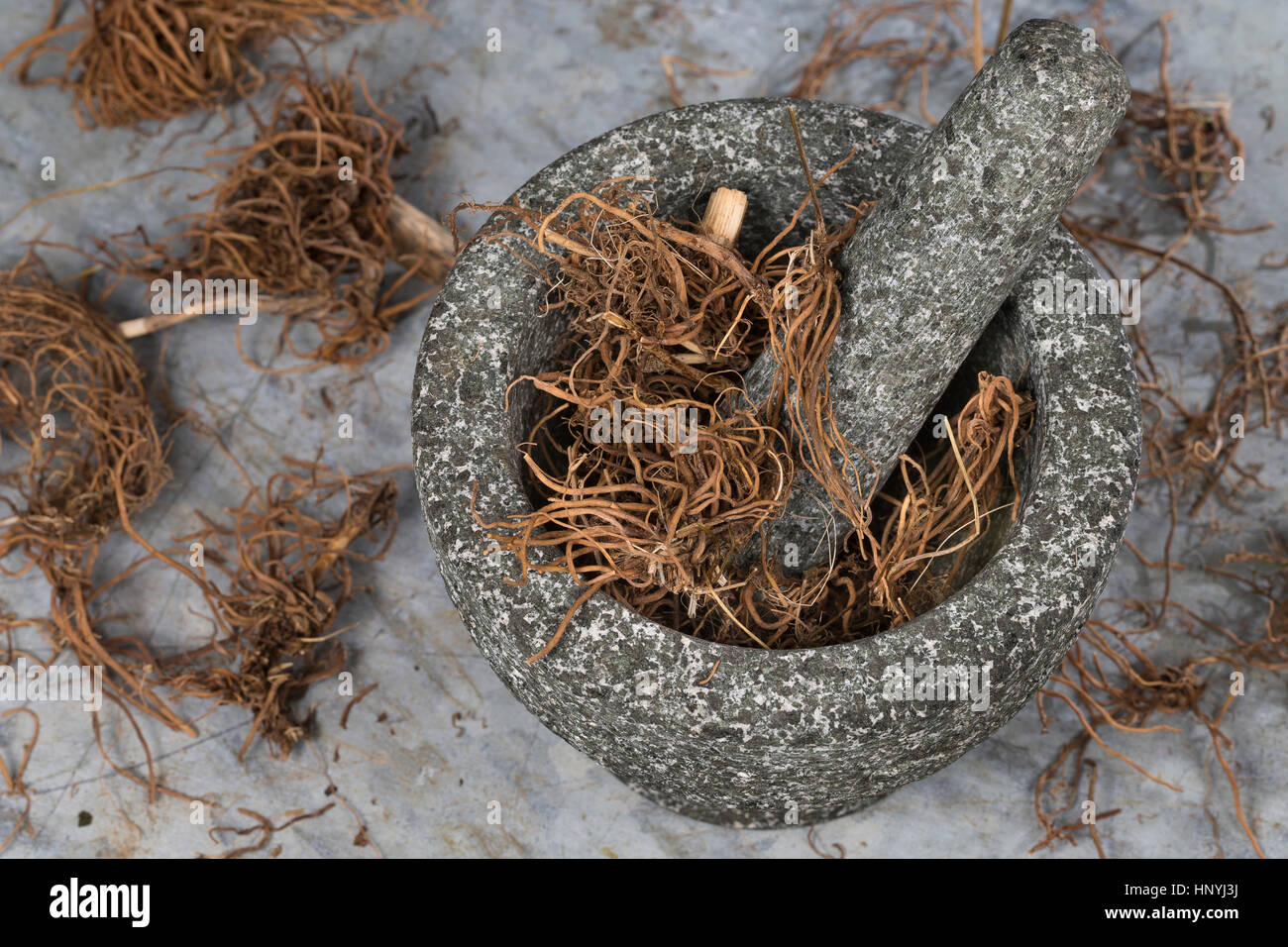Baldrianwurzeln werden mit Mörser zerkleinert, getrocknete Baldrian ...