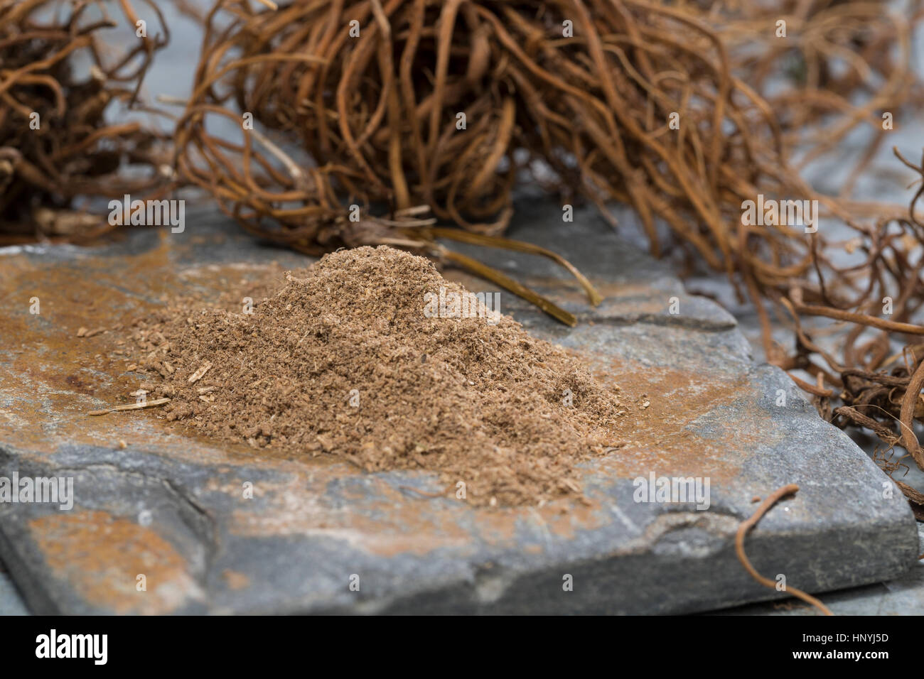 Baldrian wurzeln hi-res stock photography and images - Alamy