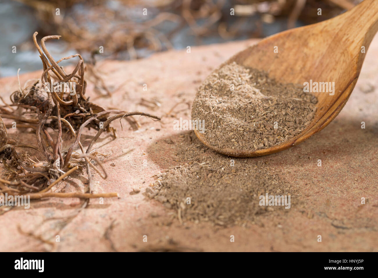 Baldrianwurzeln werden mit Mörser zerkleinert, getrocknete Baldrian ...