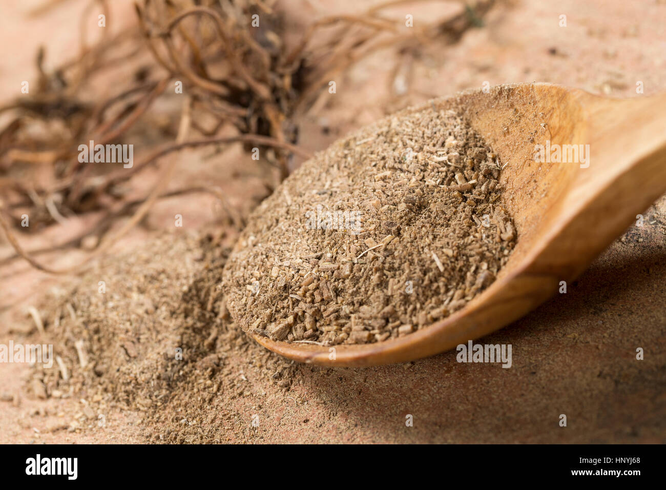 Baldrianwurzeln werden mit Mörser zerkleinert, getrocknete Baldrian ...