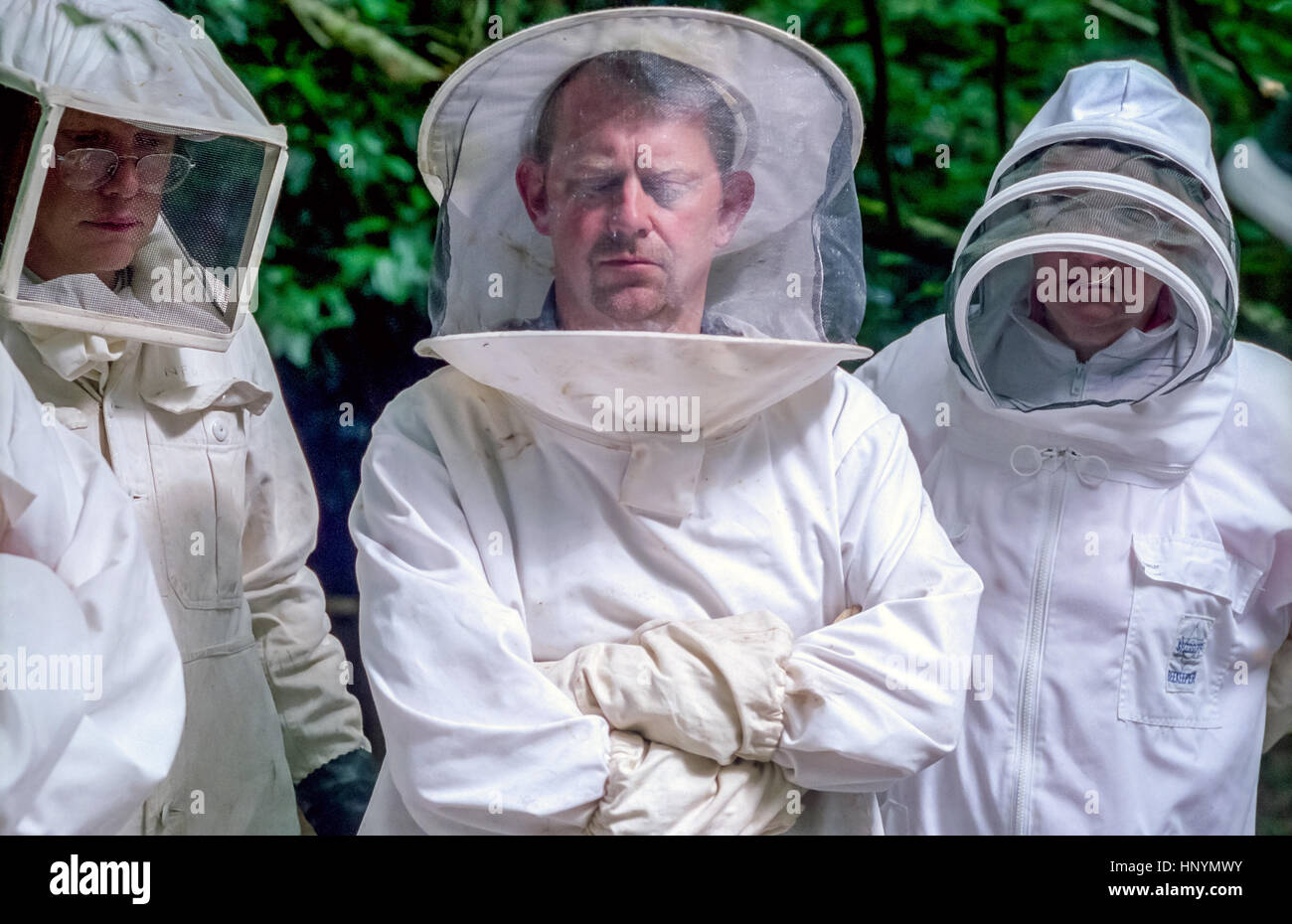 Bee inspection by MAFF inspector Mick Jackson Stock Photo - Alamy