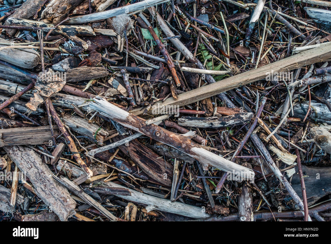A closeup shot of a pile of dirftwood Stock Photo - Alamy