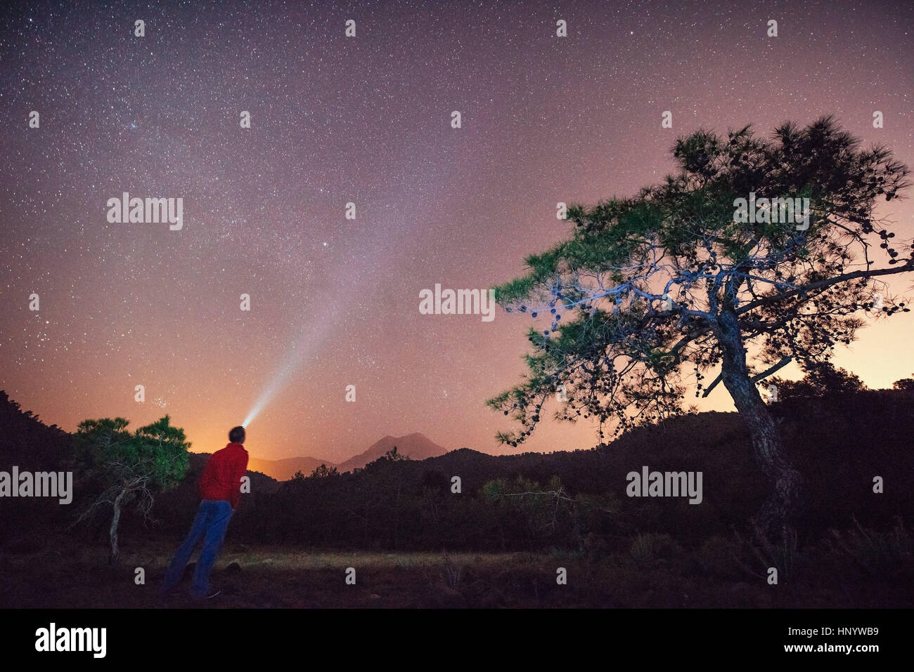person who is looking at the starry sky Stock Photo - Alamy