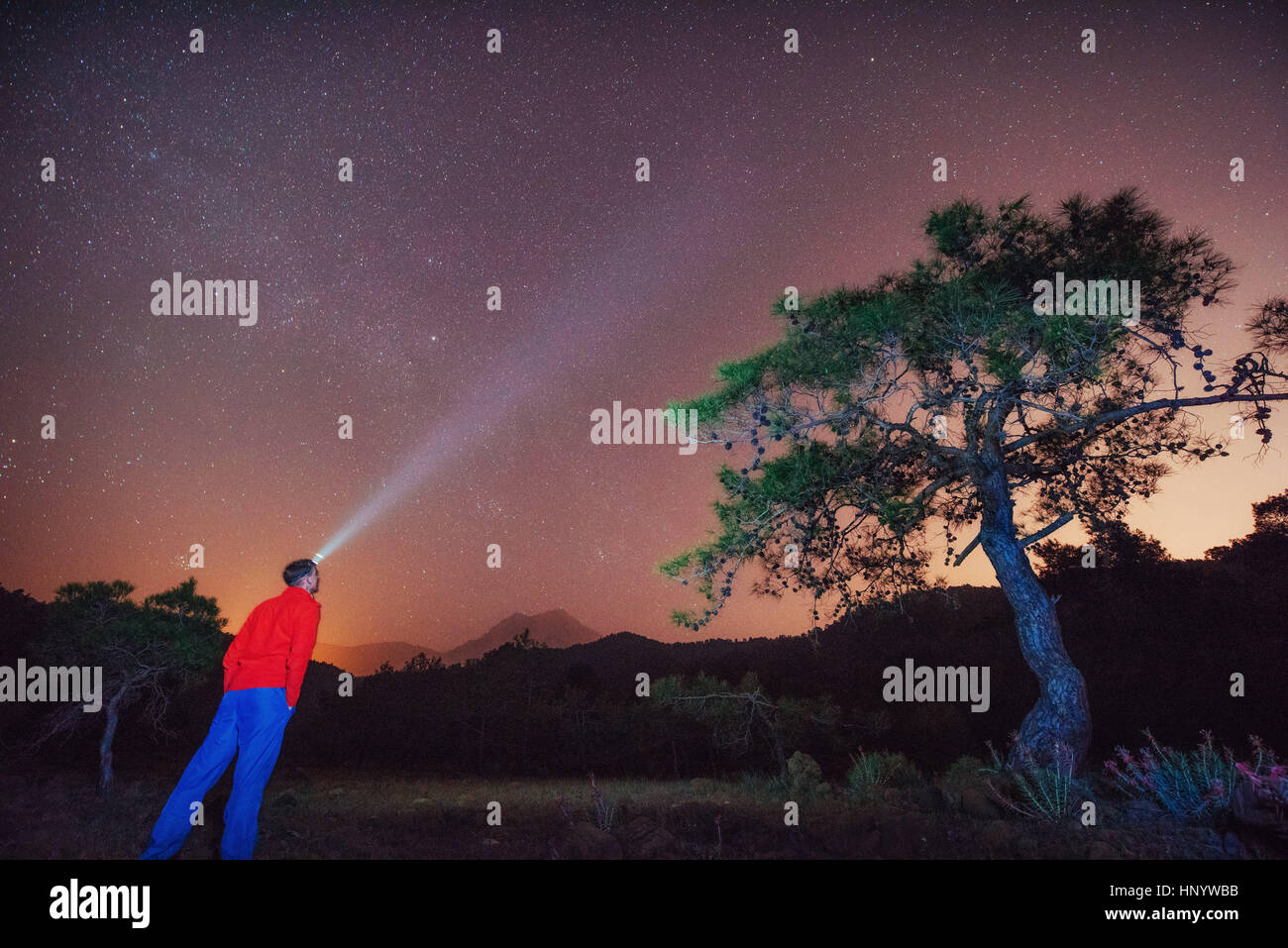 person who is looking at the starry sky Stock Photo - Alamy