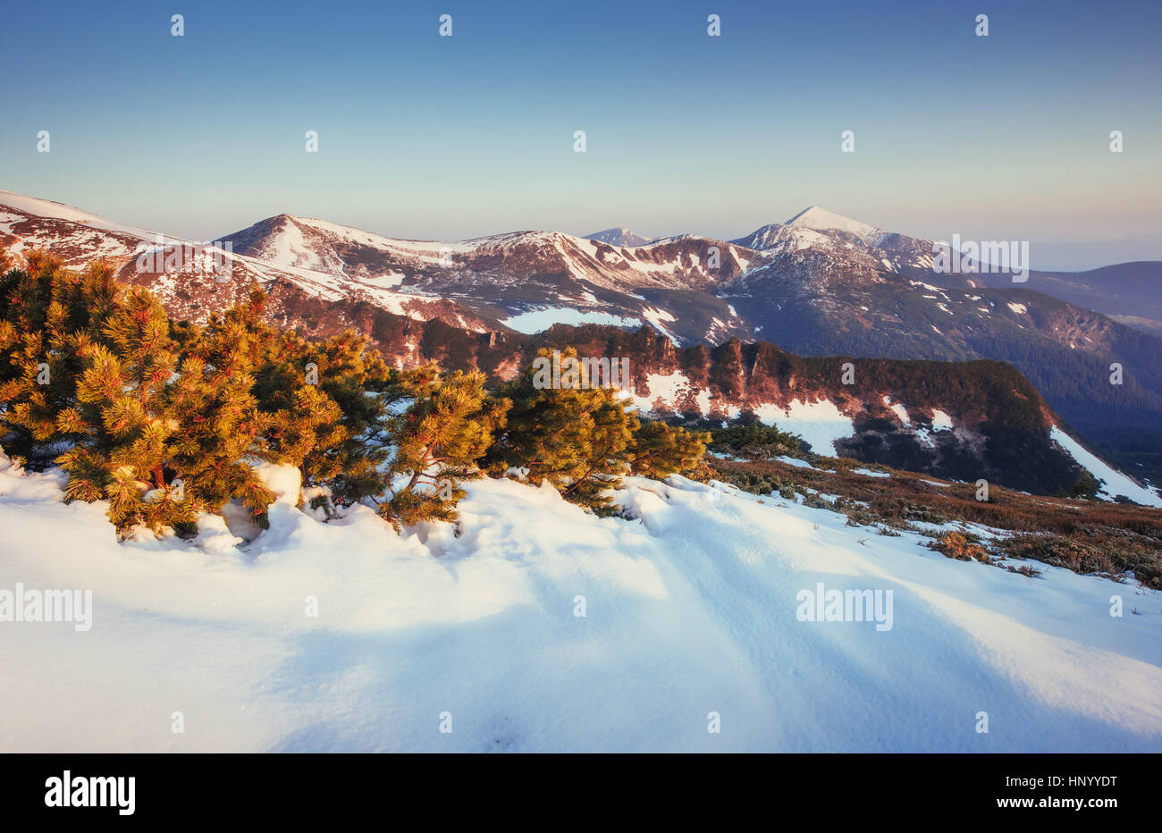 Colorful spring landscape of mountain ranges in the Carpathians Stock ...