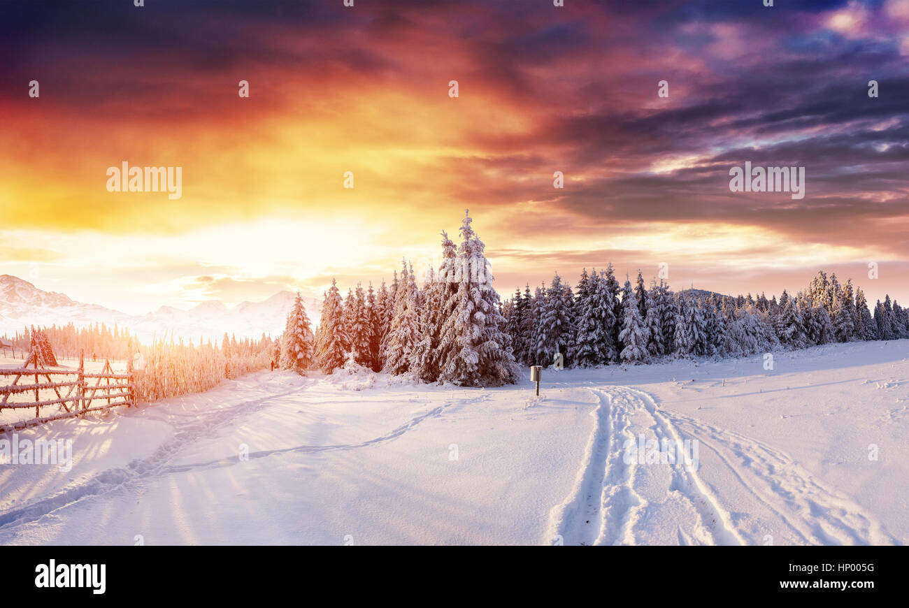 Rural scene with blizzard hi-res stock photography and images - Alamy