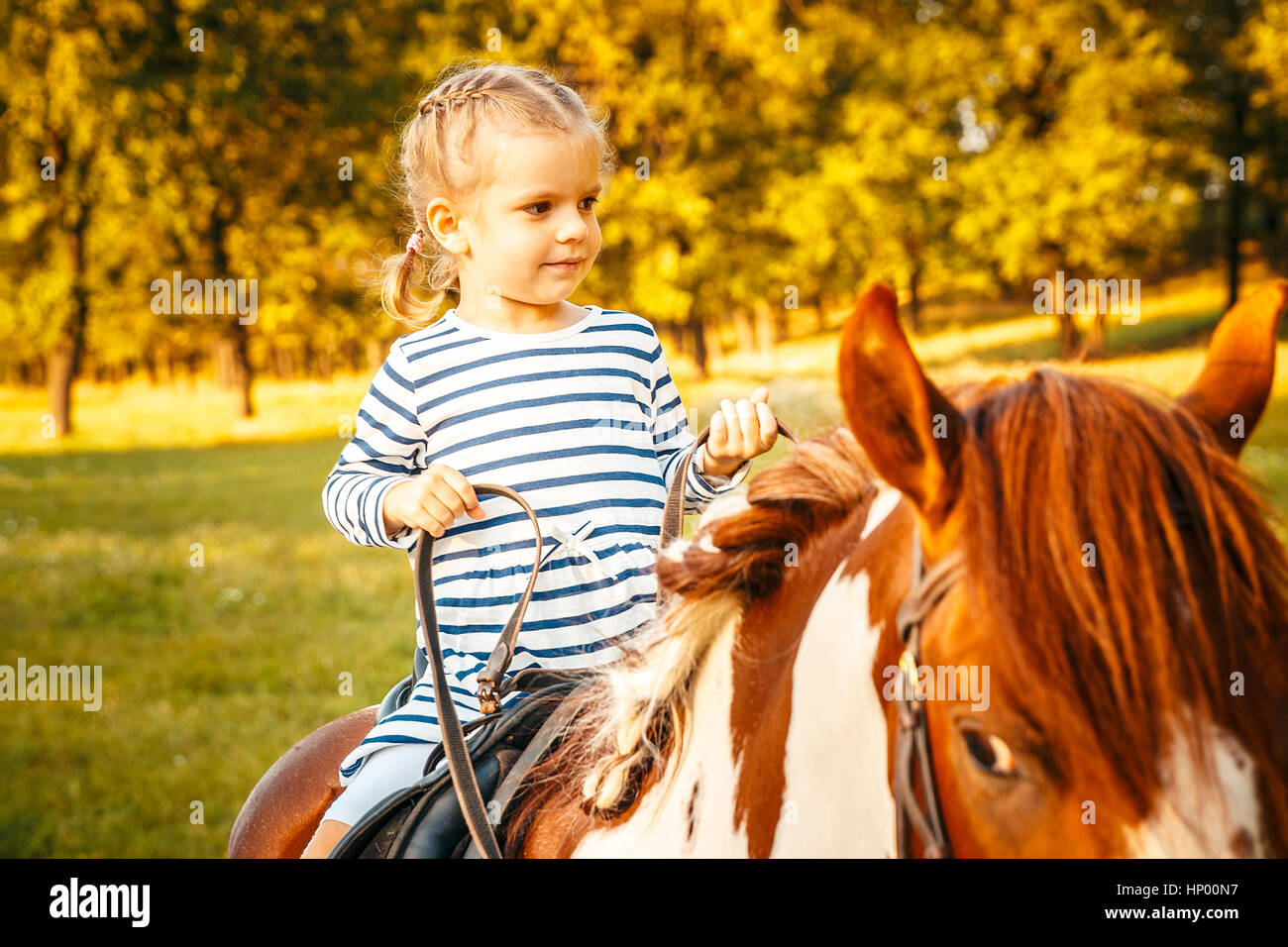 Little girl riding a horse Stock Photo - Alamy