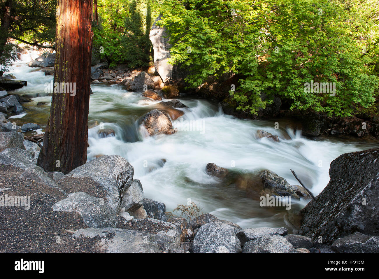 Stream flowing over rocks, Yosemite National Park, California, USA ...