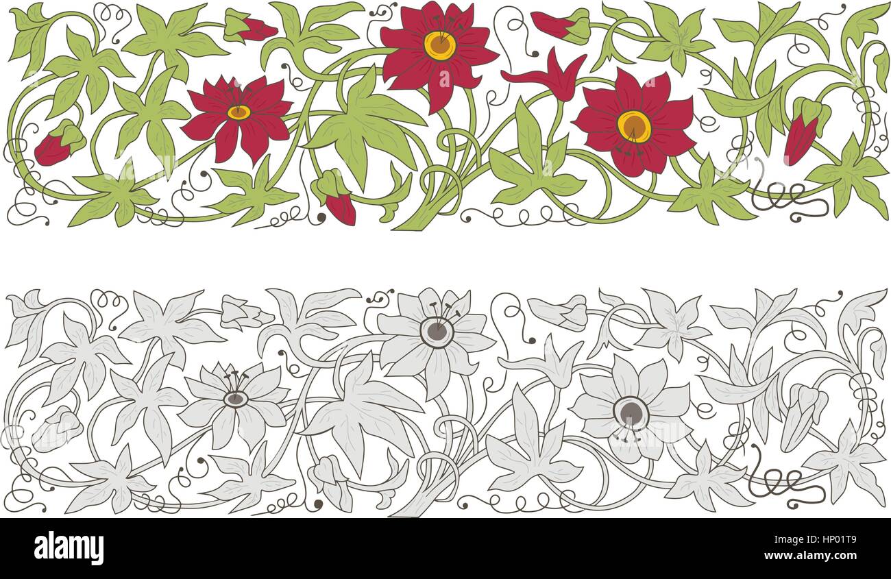 Ranunculus pink flowers leaves Stock Vector Images - Alamy