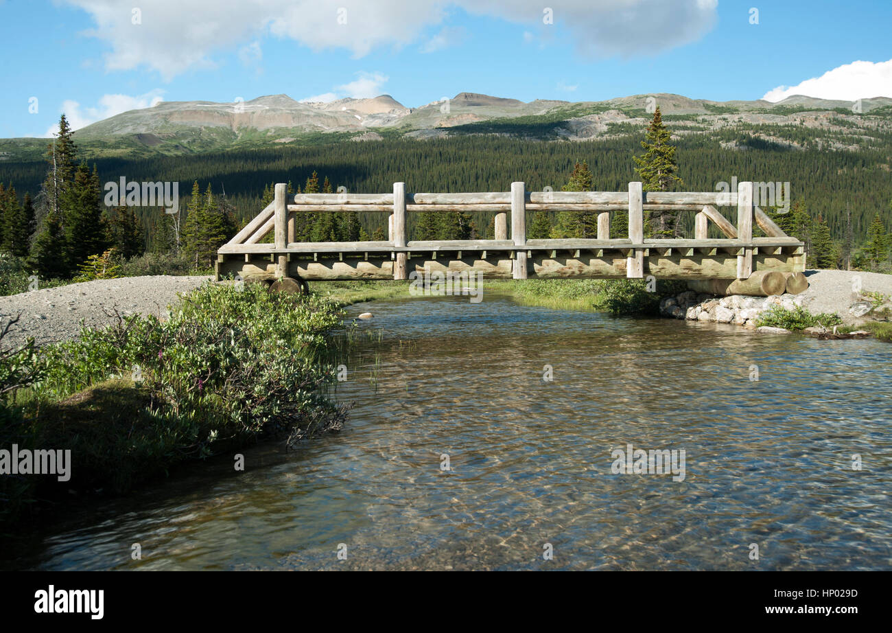 Foot bridge at Bow Lake, Banff National Park, Alberta, Canada Stock ...