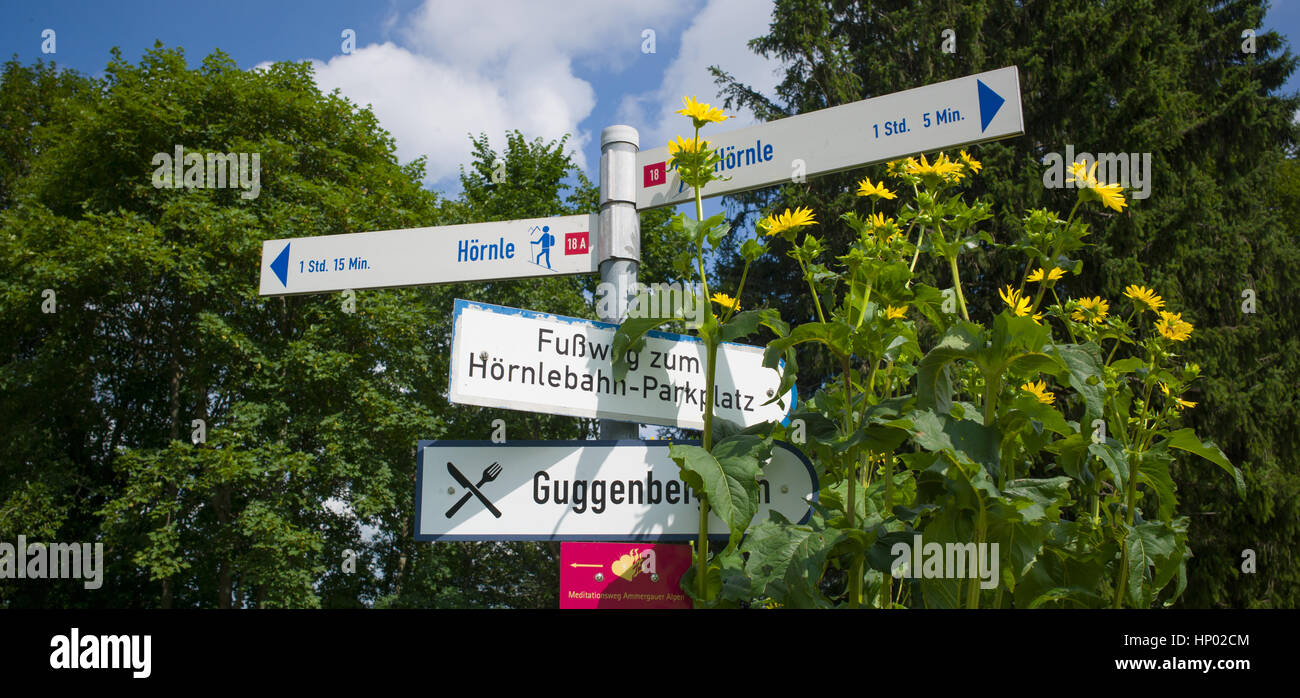 Direction signs to footpaths, with walking times, and restaurant, Bad ...
