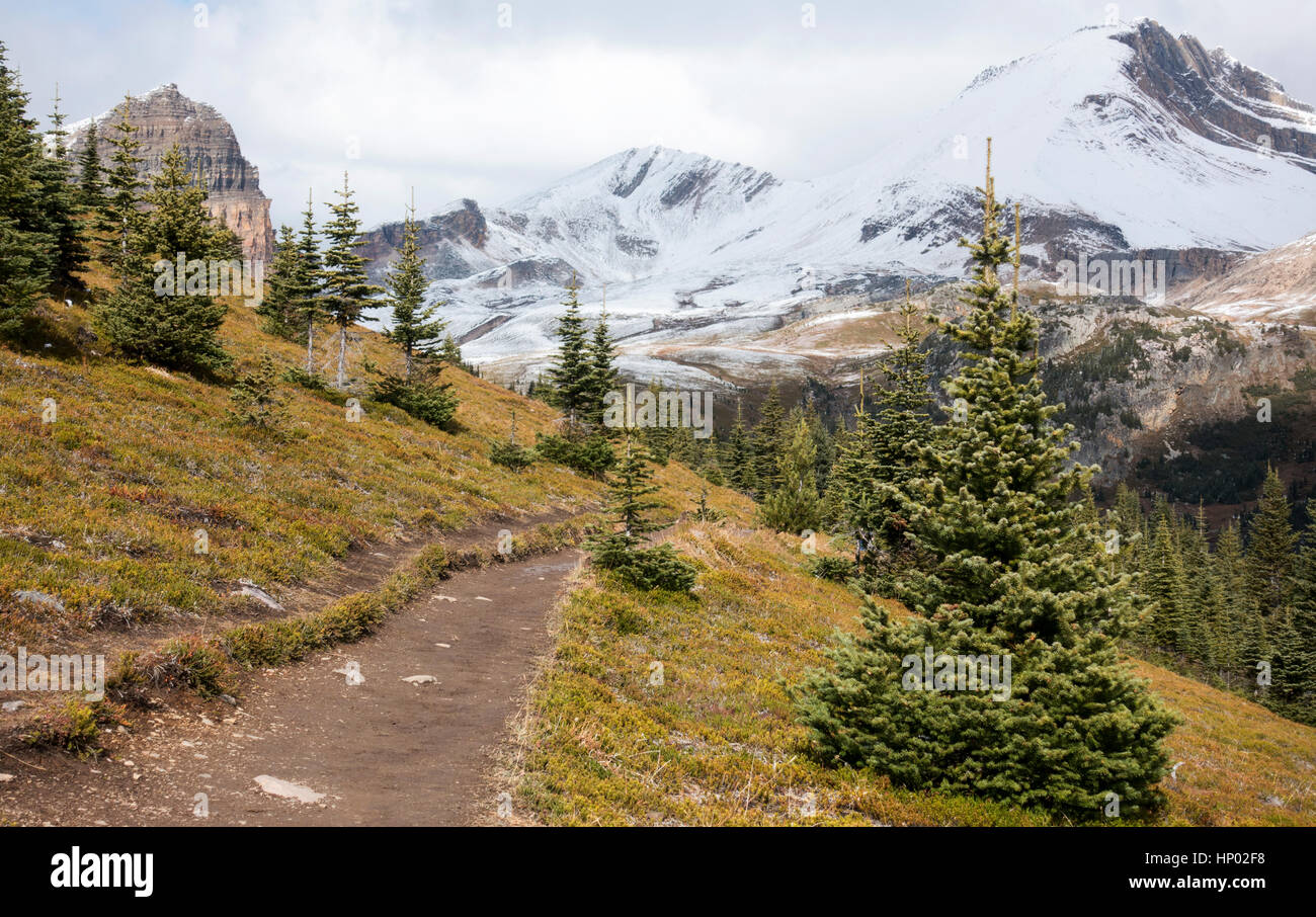 Hiking trail at Helen Lake, Banff National Park, Canada Stock Photo - Alamy