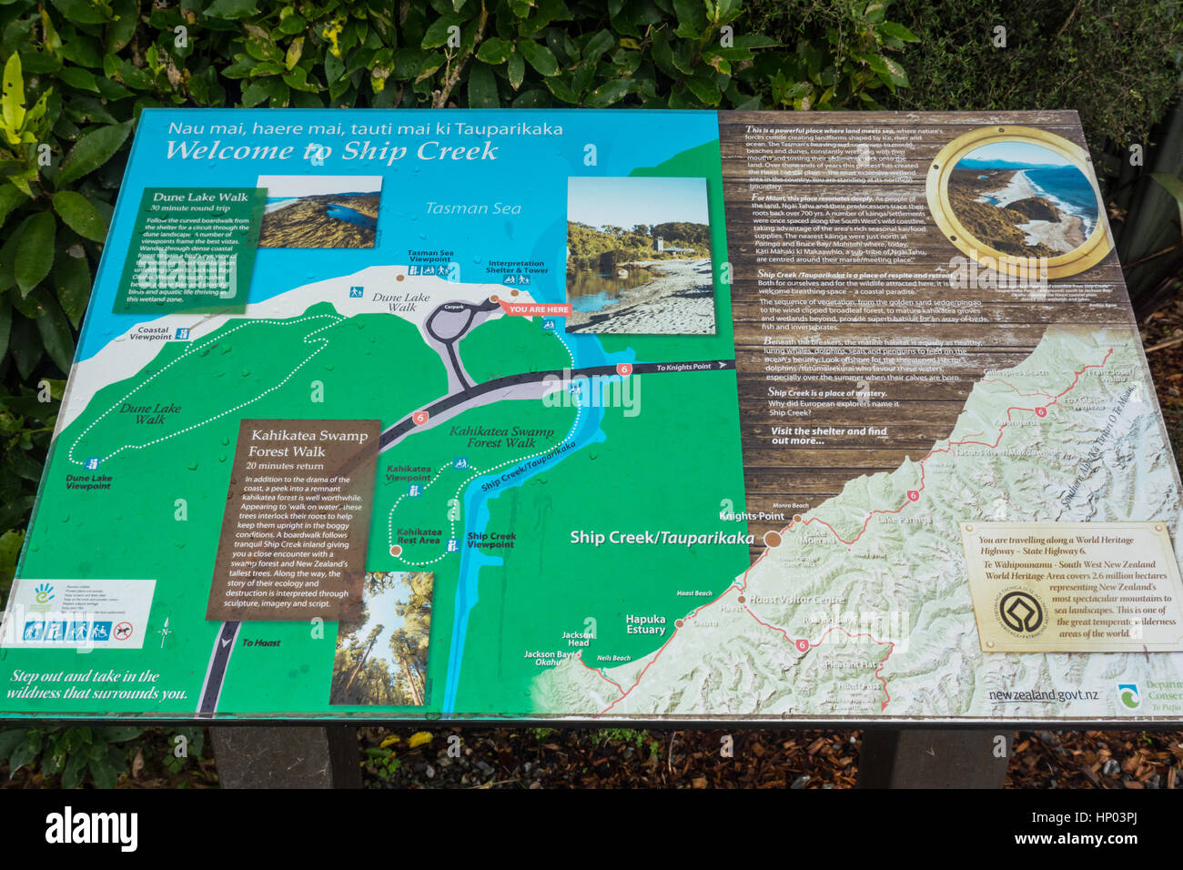 Information sign at Ship Creek and Kahikatea swamp forest, Haast ...