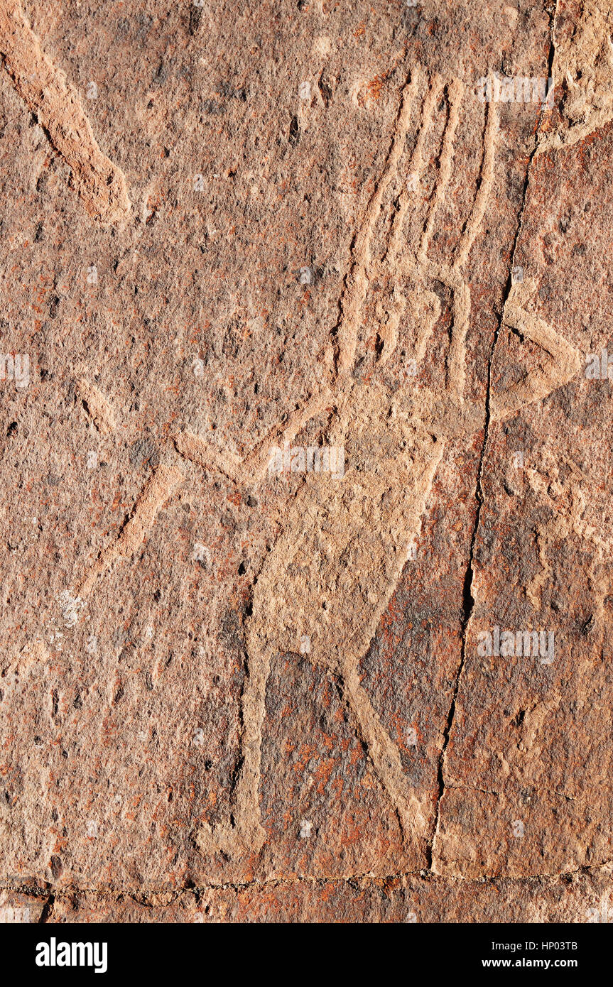 Peru–Toro Muerto Petroglyphs, more than 5000 such petroglyphs of desert ...