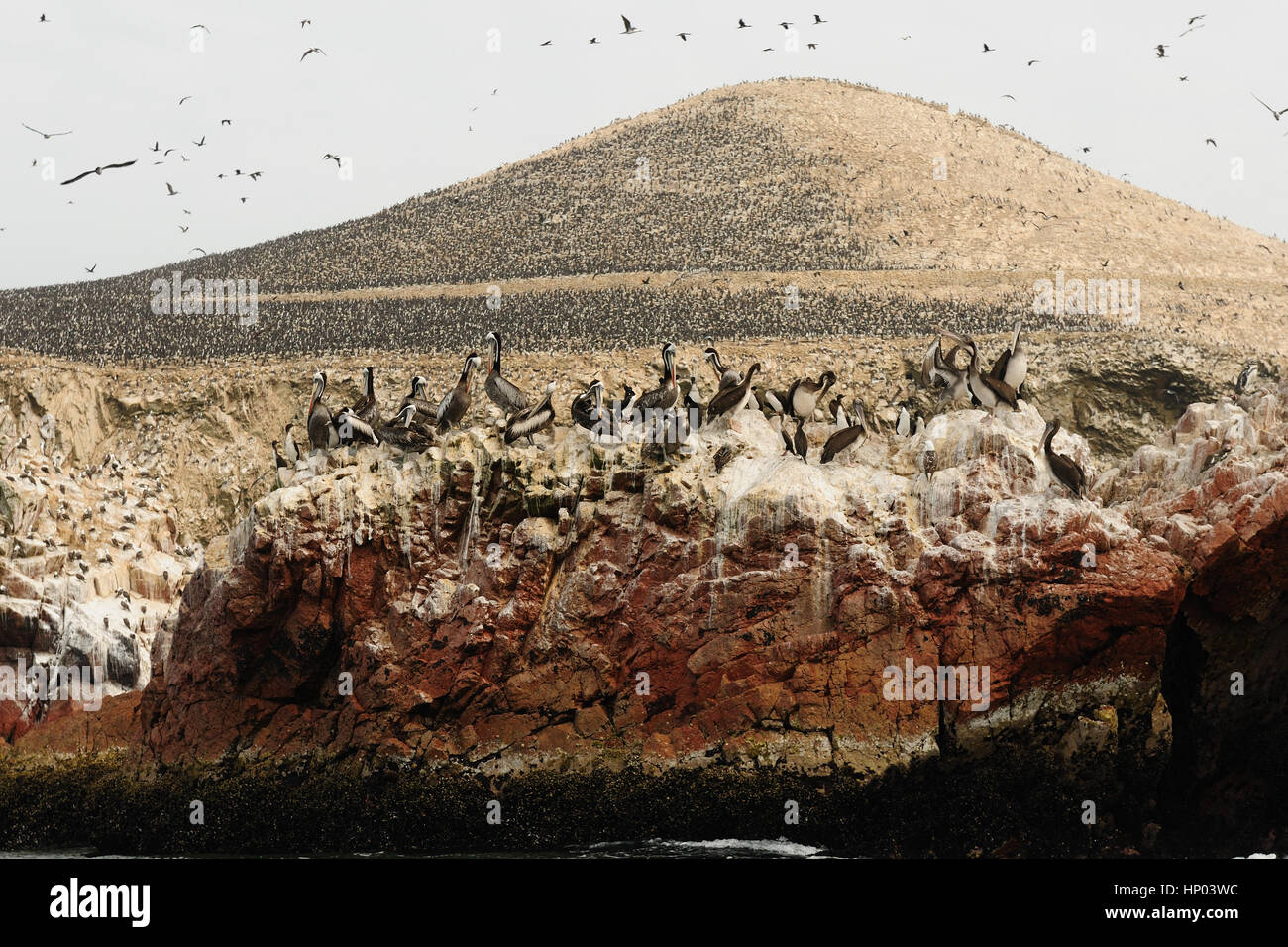 Peru, Sxouth Coast, Islas Ballestas near Paracas National Park ...