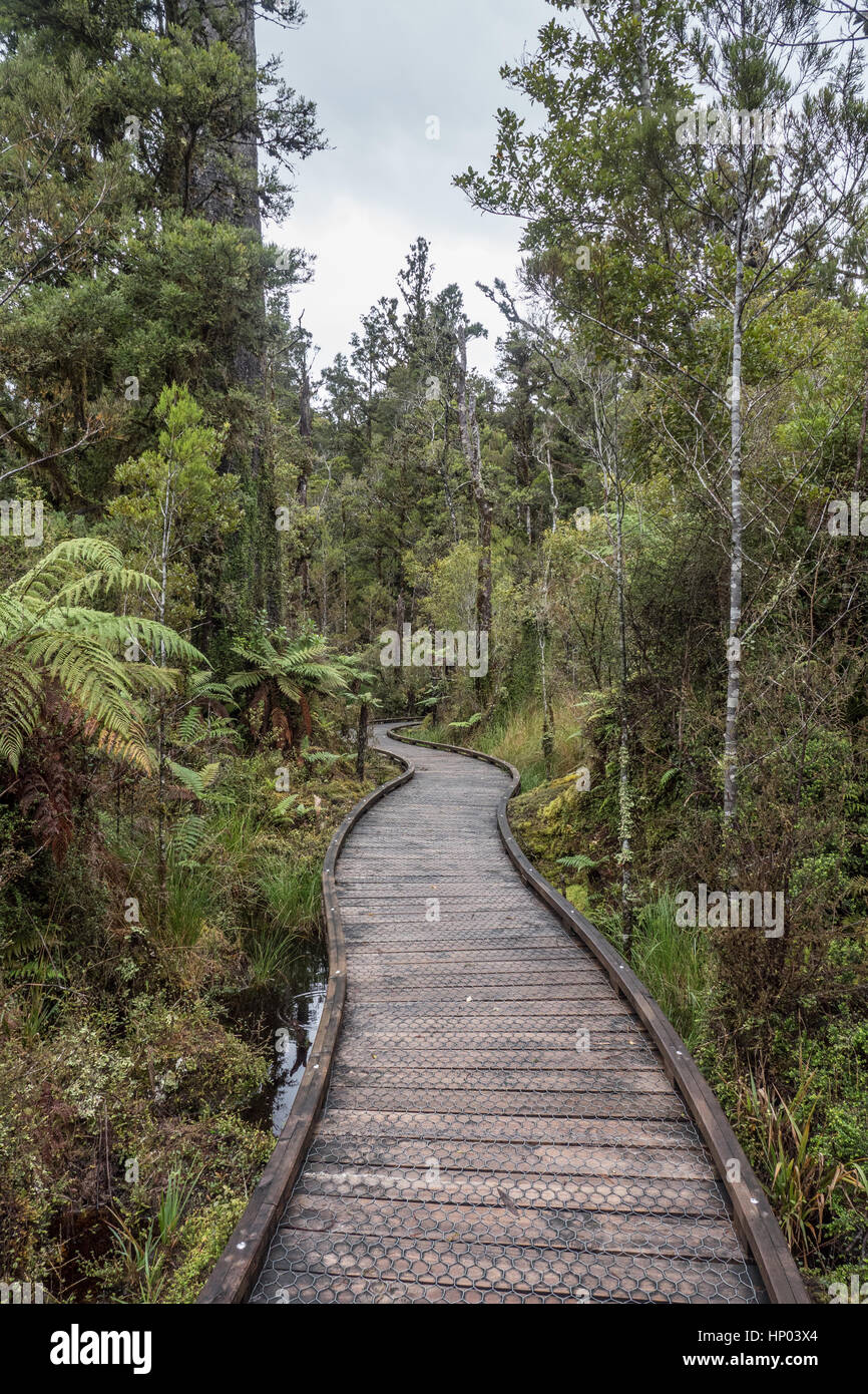 Tauparikaka hi-res stock photography and images - Alamy