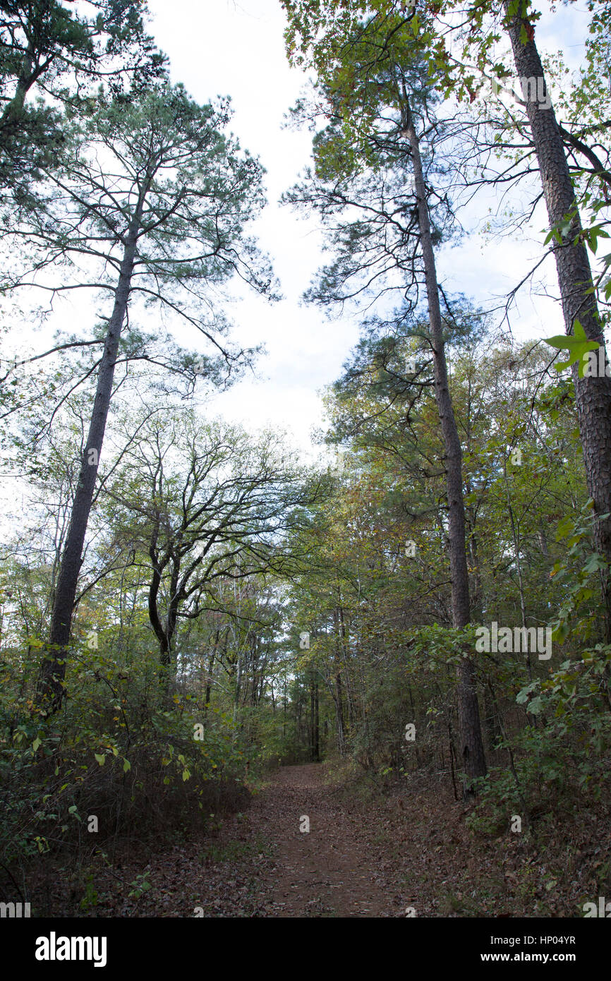 Well worn trail hi-res stock photography and images - Alamy