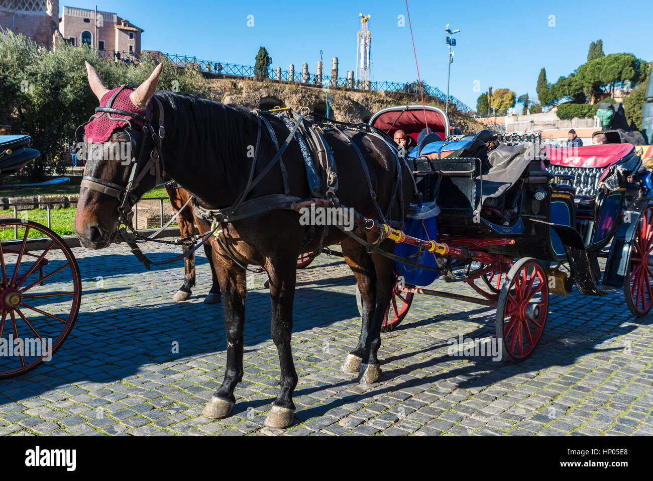 Roman horse carriage hi-res stock photography and images - Alamy