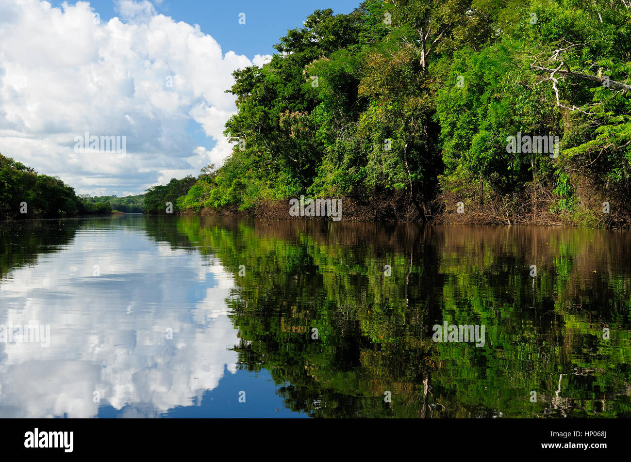 Amazonas landscape. The photo present Amazon river, Brazil Stock Photo ...