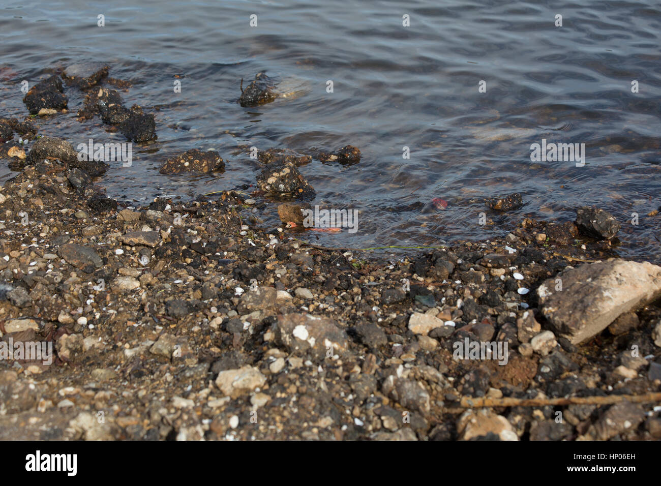 Close up crawfish shells hi-res stock photography and images - Alamy
