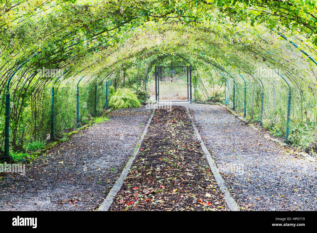 Arbor over fall garden beds. Point Defiance Park, Tacoma, WA boasts ...