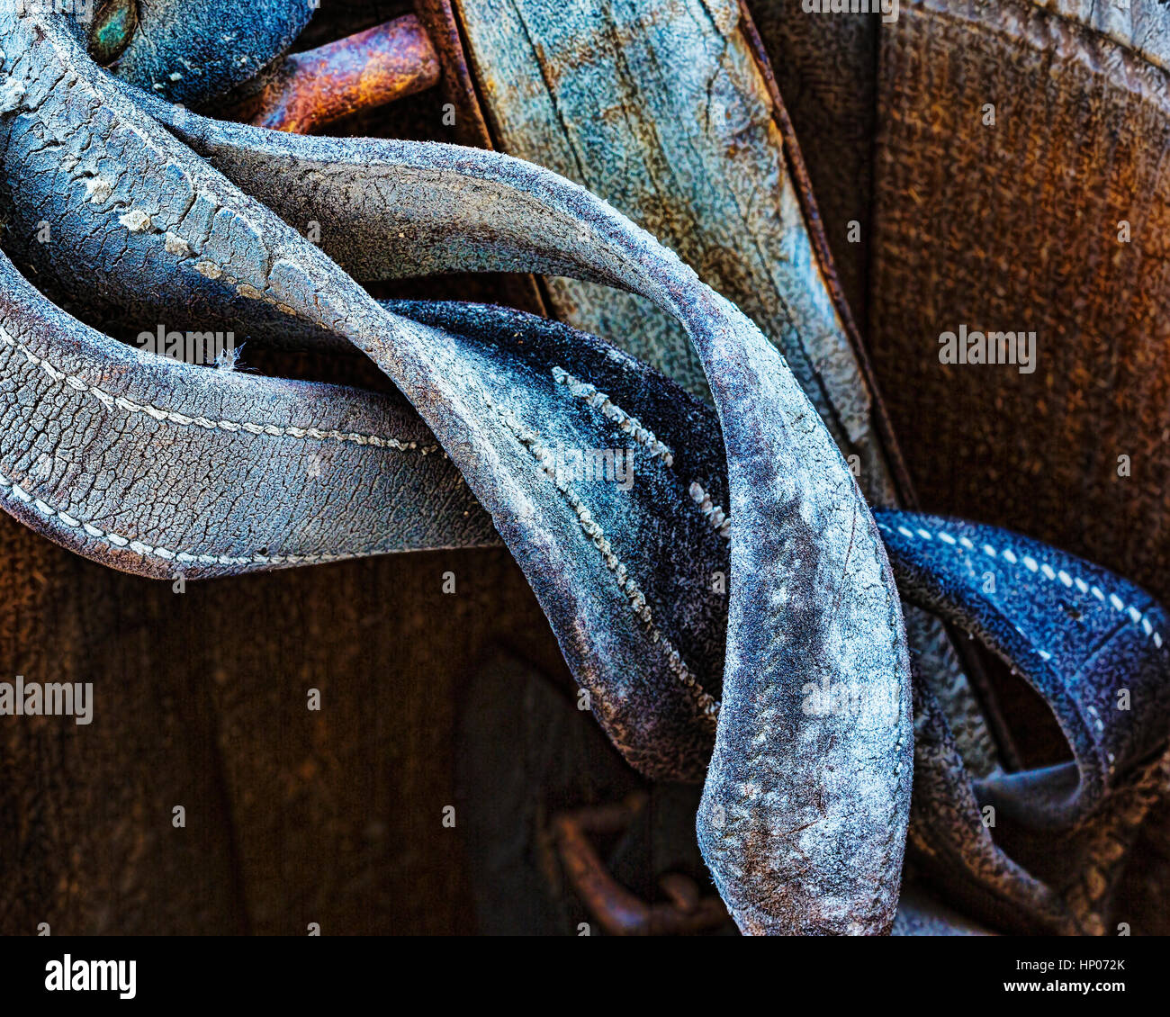 Vintage leather straps, harness or belt, in barrel Stock Photo - Alamy