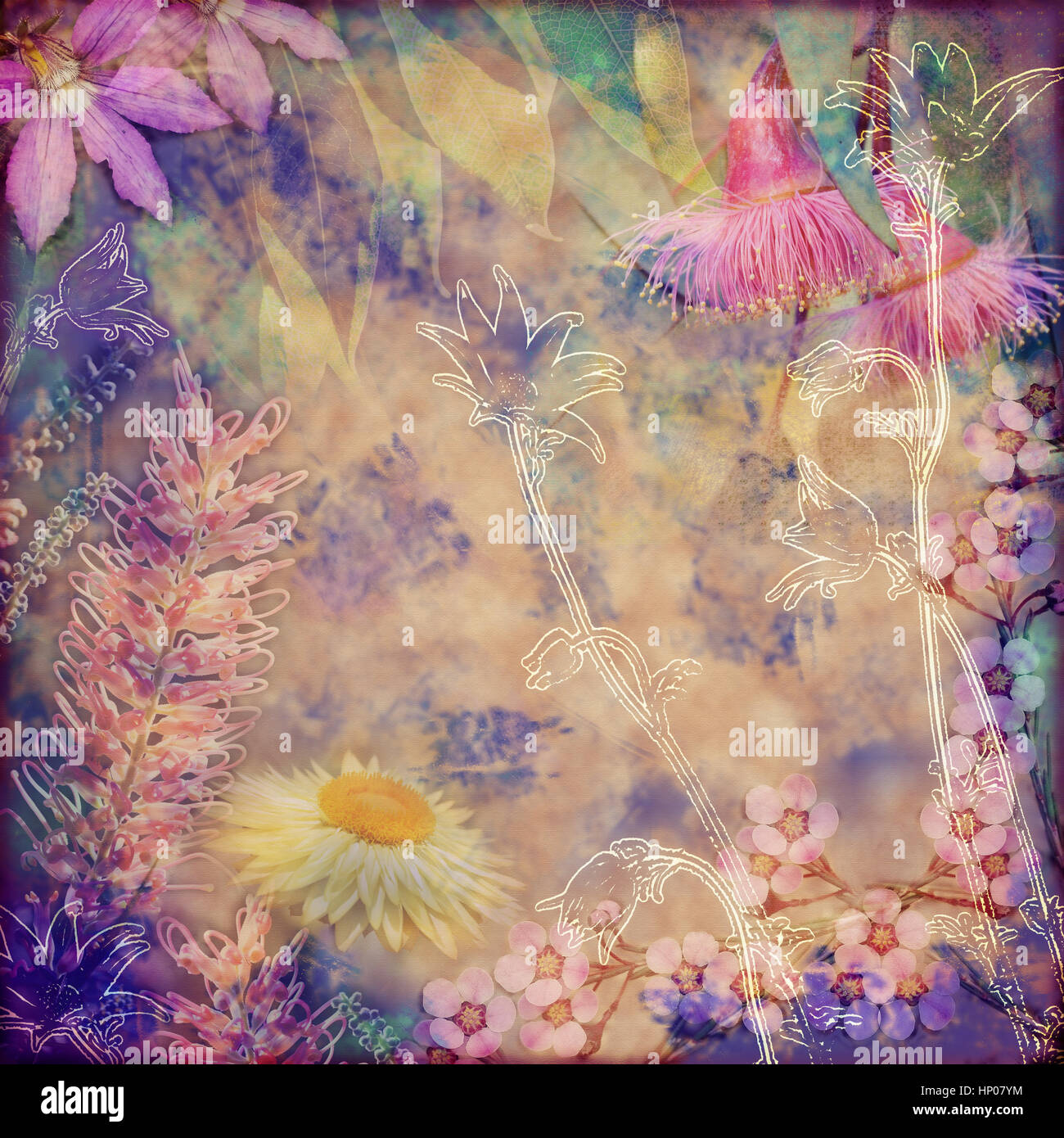 Australian flora hi-res stock photography and images - Alamy