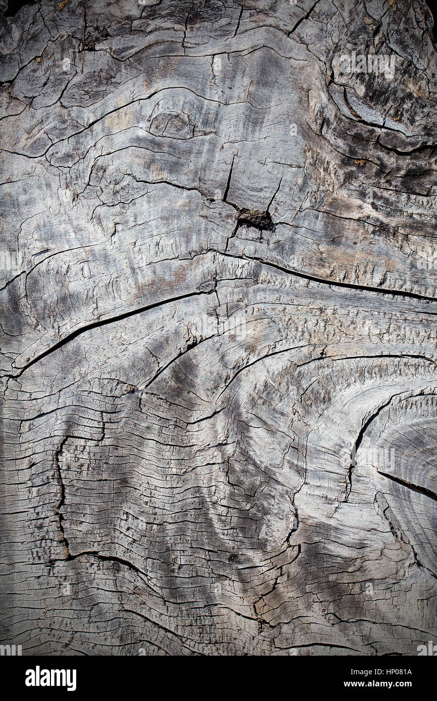 Old wood texture Stock Photo - Alamy